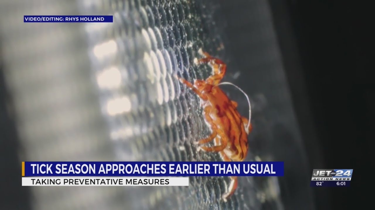 Experts preach caution as mild winter, warm temps cause spike in tick ...