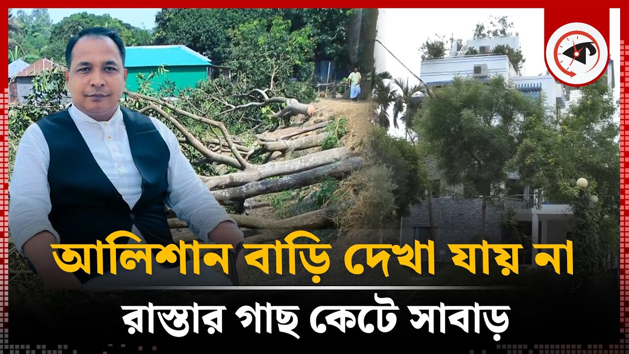 নিজের আলিশান বাড়ি দেখাতে গাছ কেটে সাবাড় | Luxurious Home | Tree ...