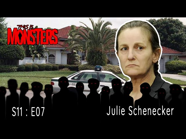 Julie Powers Schenecker Case