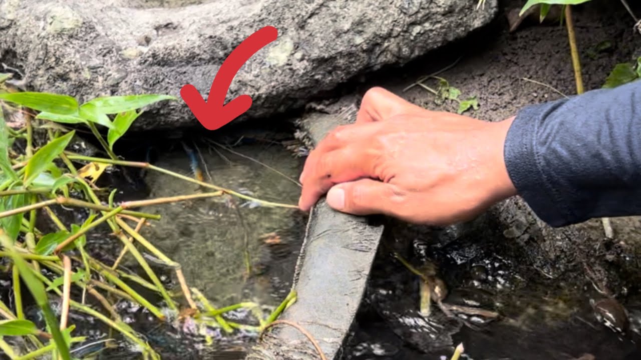 Ganito lang kami mag hanap nang mga ulang o freshwater shrimp #fishing ...