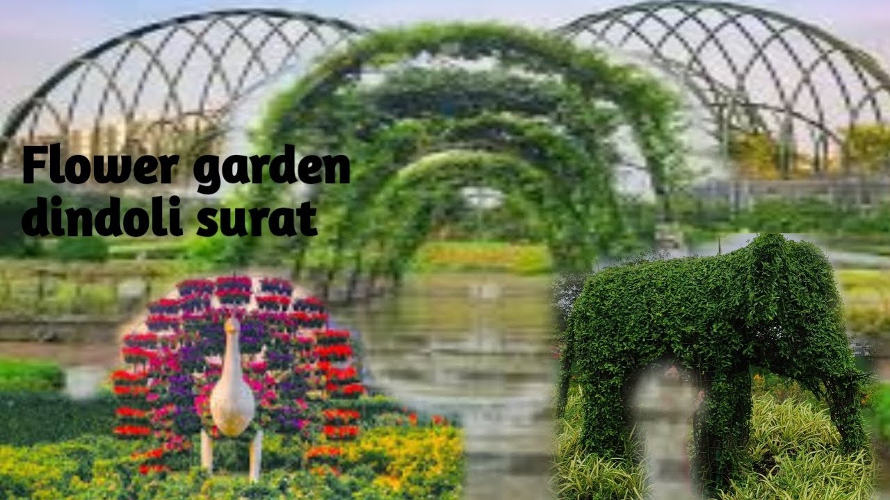 Flower garden surat dindoli #flowergarden#surat - YouTube