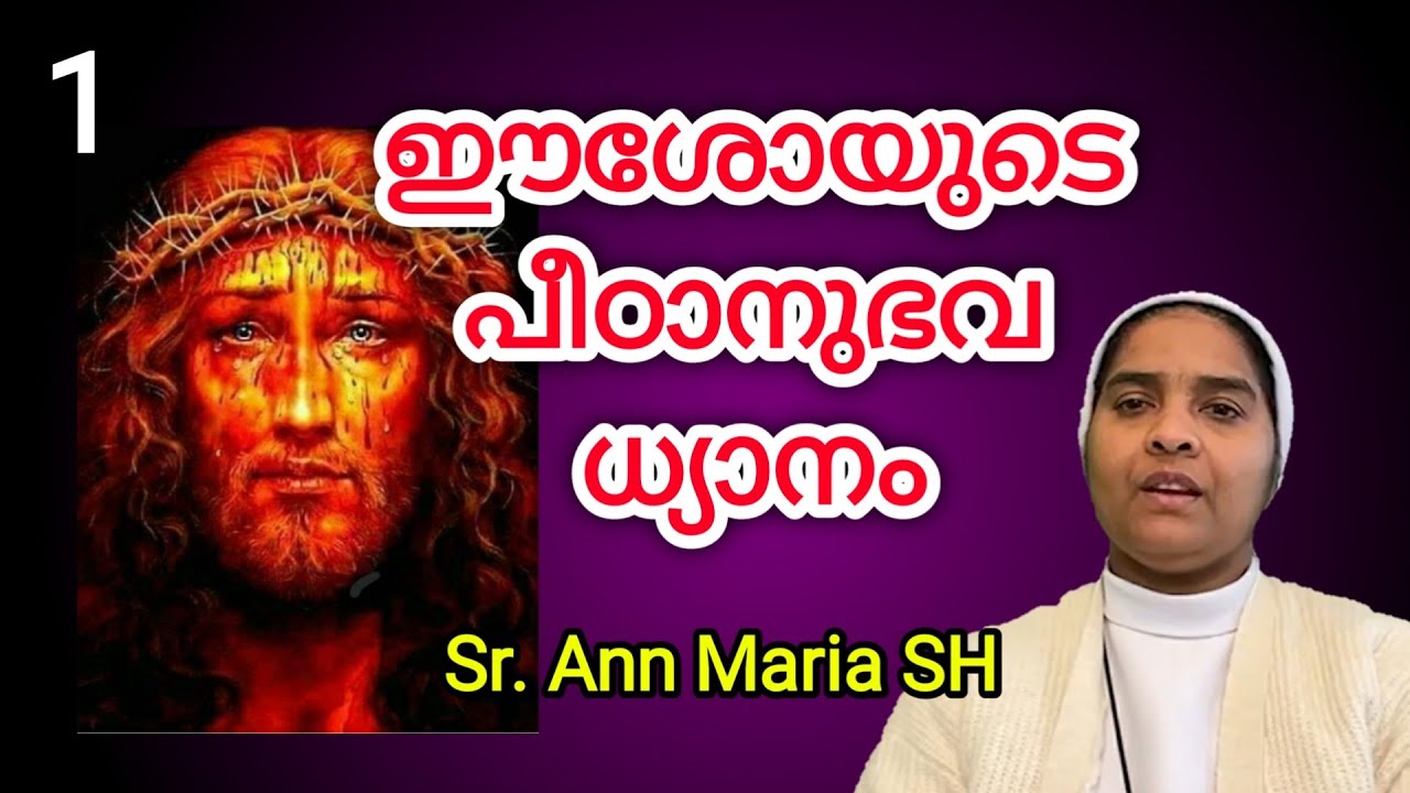 Sr. Ann Maria SH, Zoom Meeting - YouTube