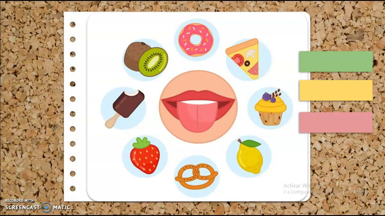 SENTIDO DEL GUSTO - YouTube