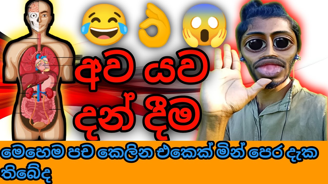 මගේ අව යව දන් දීම / magee ava yava dan dima - funny video _ pacha pappa ...