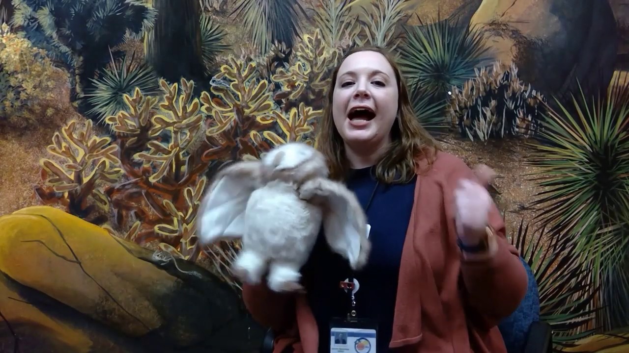 Rhymes & Songs with Ms. Jennifer - YouTube