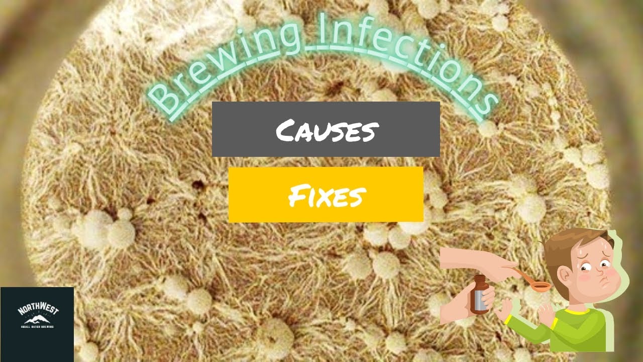 Common Brewing Infections - YouTube