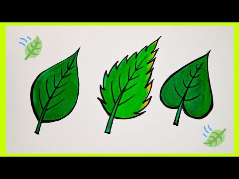 How to draw leaves | leaf drawing easy | #drawing | evas art - YouTube