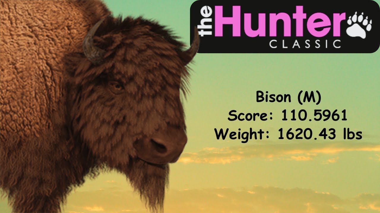 The Hunter Classic | Male Bison Gameplay | Score 110.5961 - YouTube