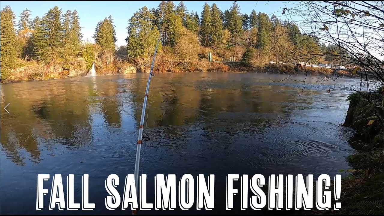 Salmon Fishing a Beautiful Washington River! Fishing close to a salmon ...