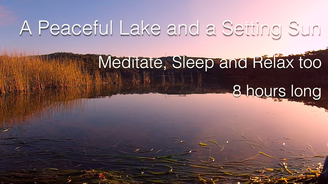 A Peaceful Lake, a Setting Sun and Native Birds, Meditate, Sleep and ...