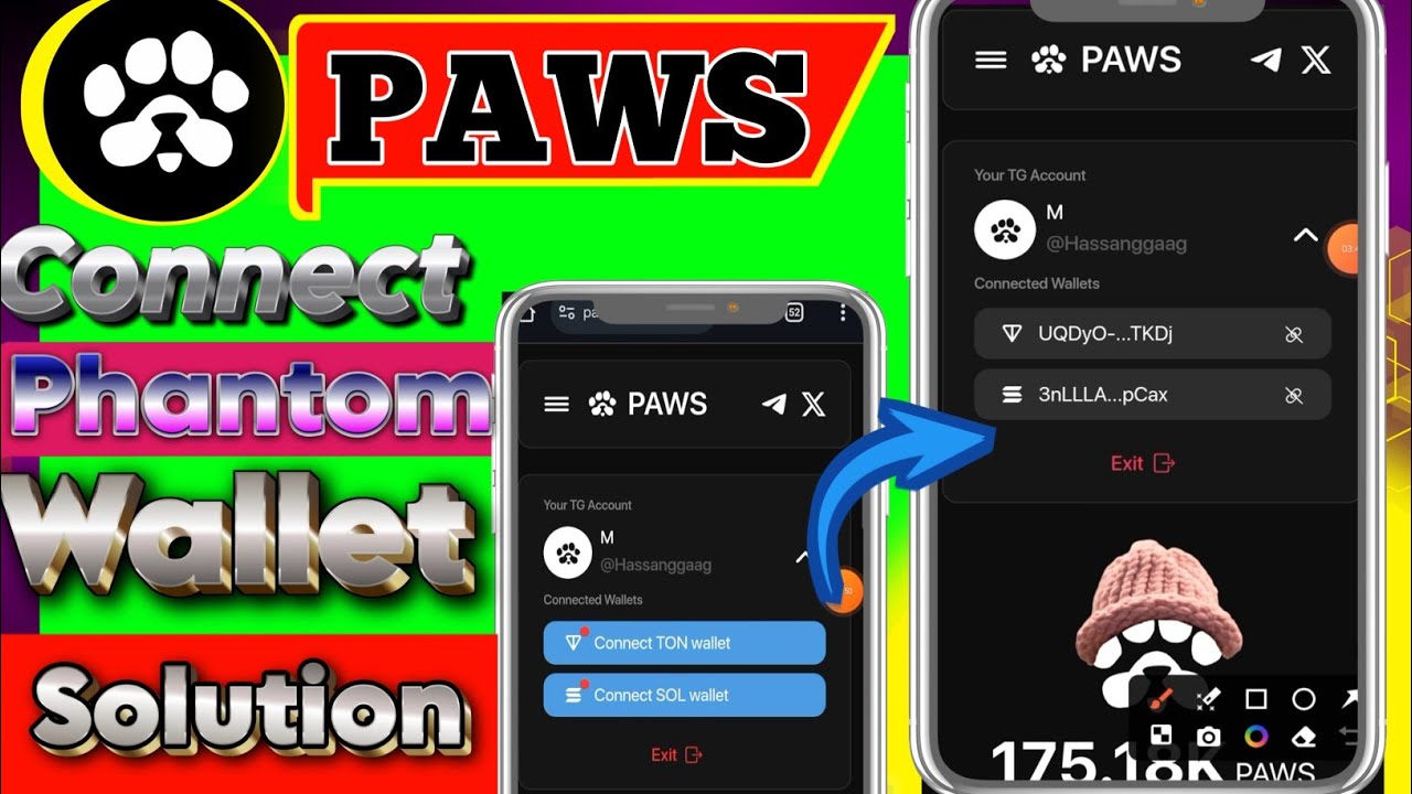 How to connect paws phantom $solana Wallet|paws connect Solana wallet ...