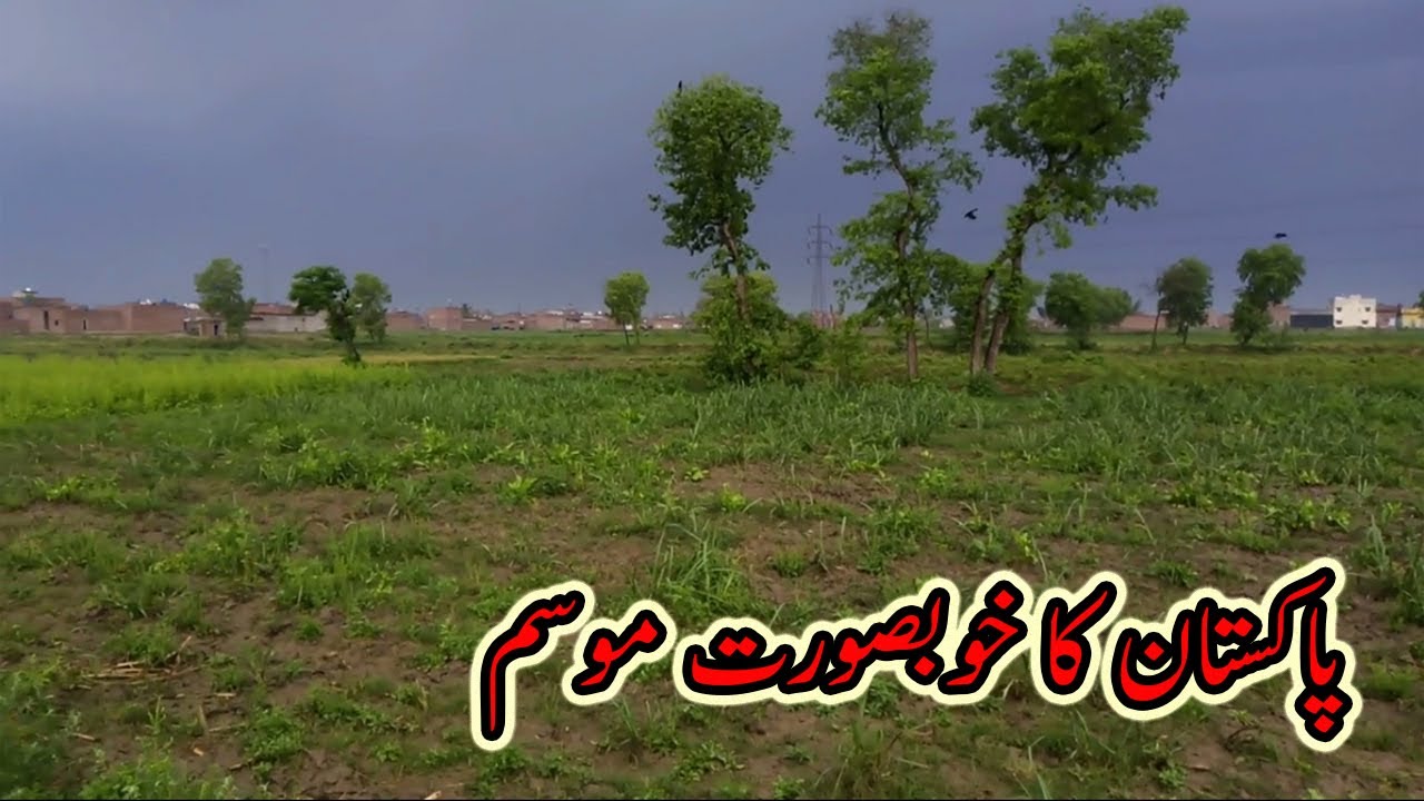 Beautifull Weather In Jaranwala Pakistan Rain In Punjab Pakistani ...