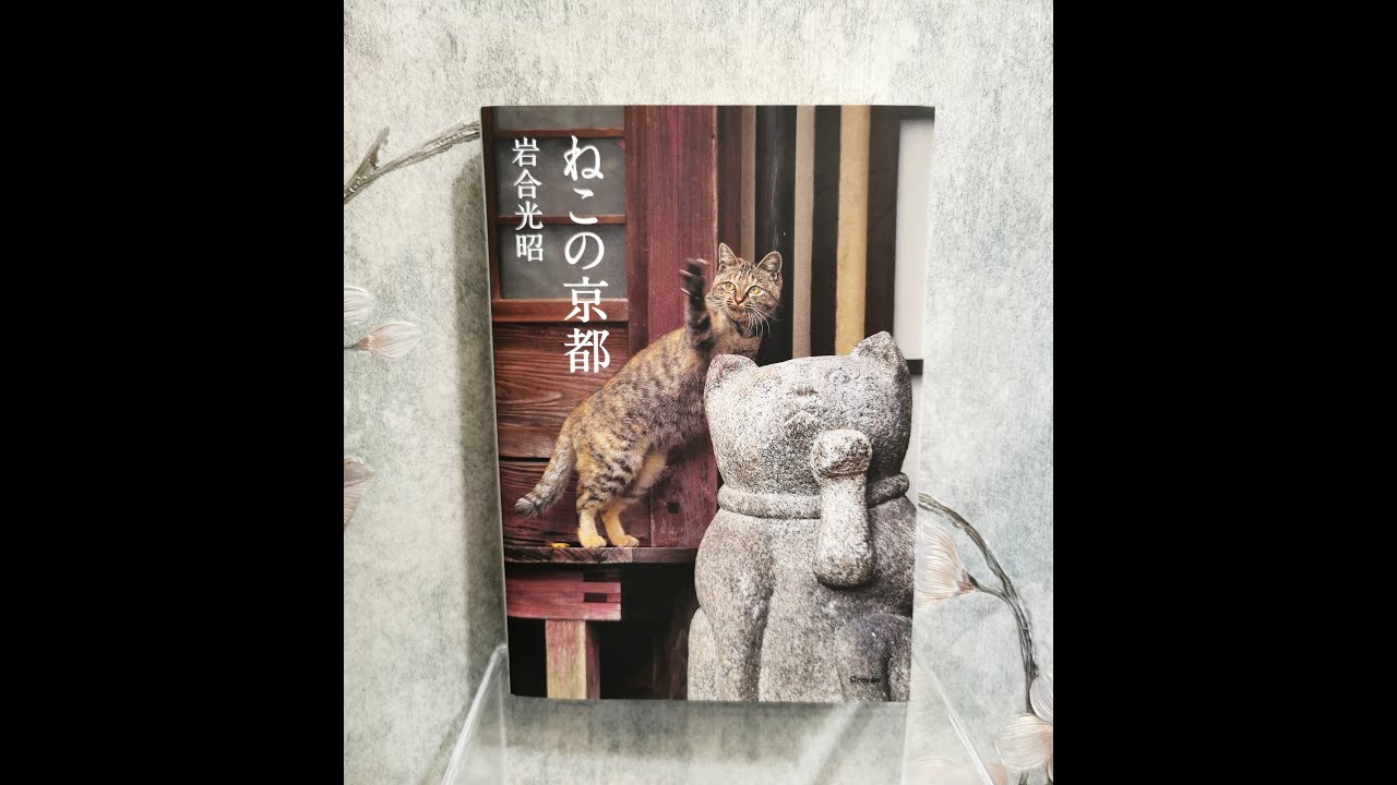 Book Cats living in Kyoto / Japanese kawaii culture Neko World Cat Walk ...