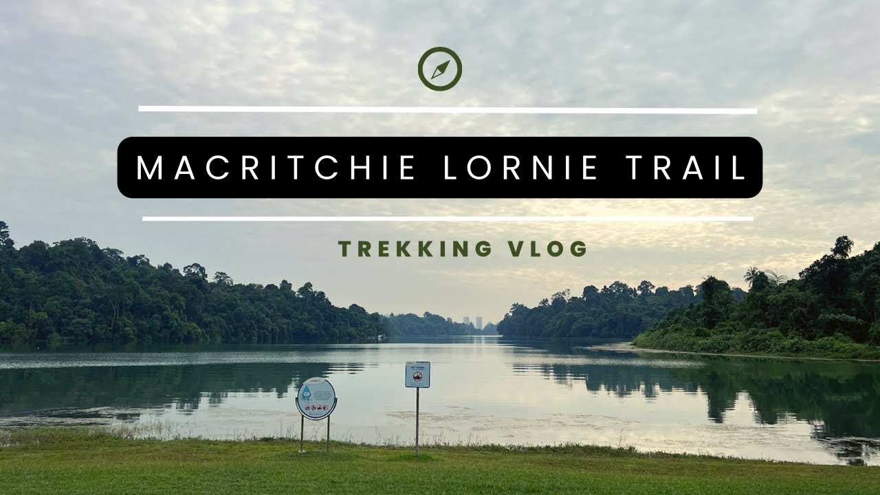 An easy trekking at Macritchie Lornie Trail | A weekend with friend ...