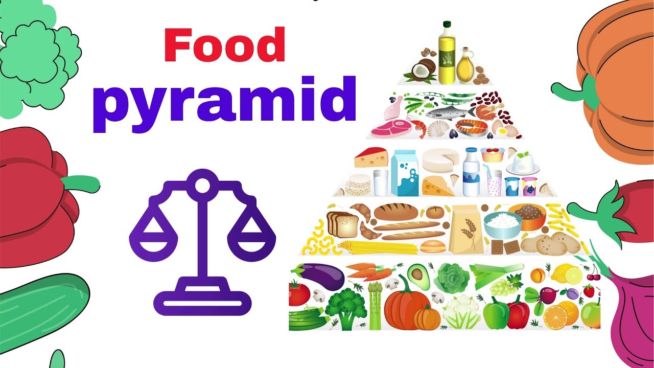 Food pyramid -Healthy Eating Explained for kids - YouTube