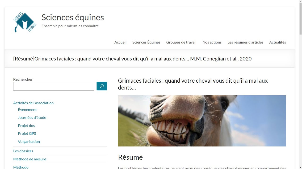 Échelle de grimace du cheval pour détecter et quantifier la douleur due ...