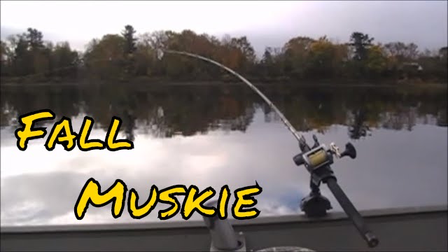 Fall Muskie Fishing on the Saint John River, Fredericton, New Brunswick ...