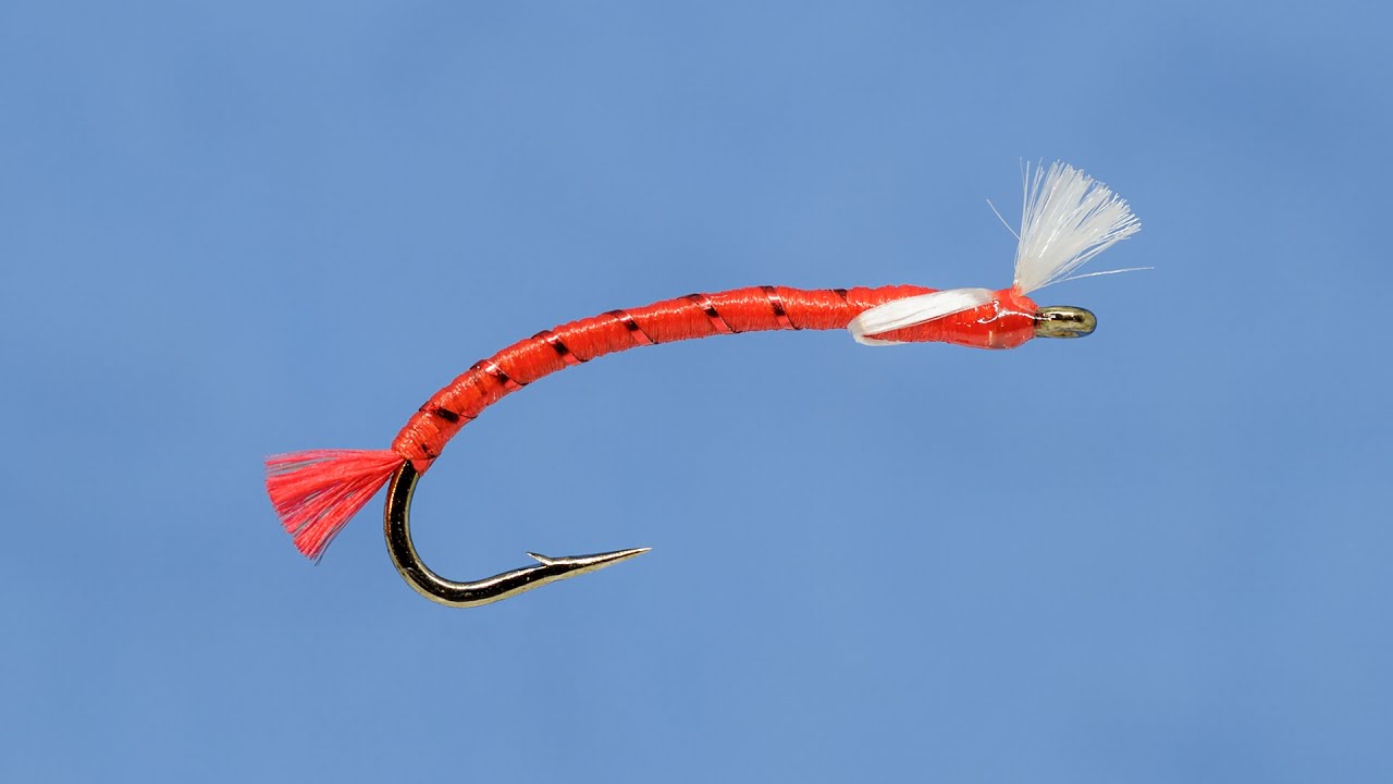 Fly Tying - Bloodworm * - YouTube