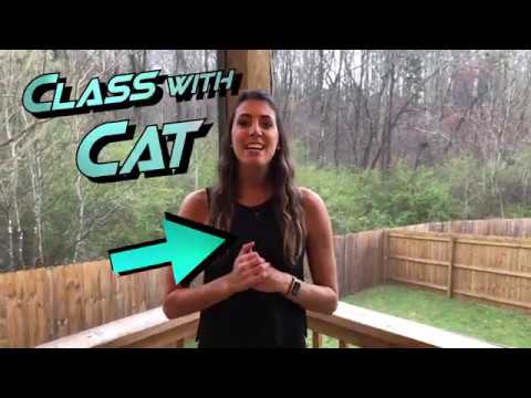 CLASS WITH CAT #6: At Home Cardio