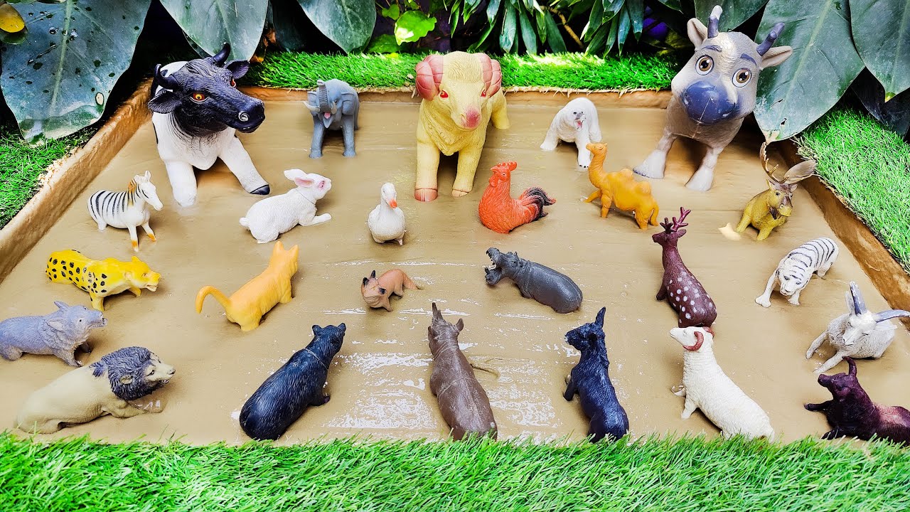 Rescuing Incredible Farm and Pet Animals From the Mud | Learning and ...