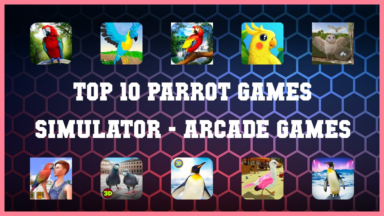 Top 10 Parrot Games Simulator Android Games - YouTube