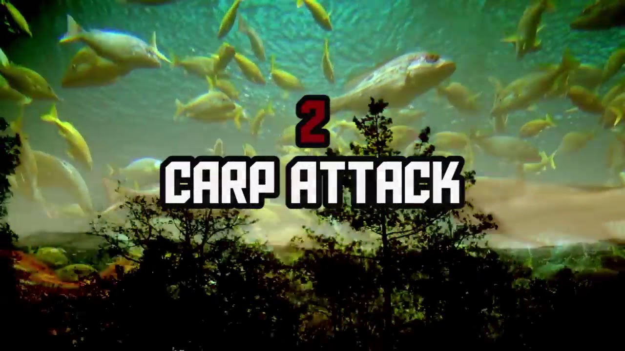 Most Popular | 5 Shocking Fishing Moments Caught On Camera! - YouTube