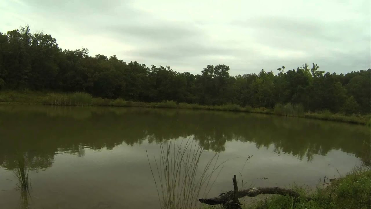 Donkey Pond - YouTube