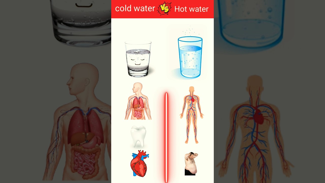 Hot water vs cold water#shorts #fact - YouTube