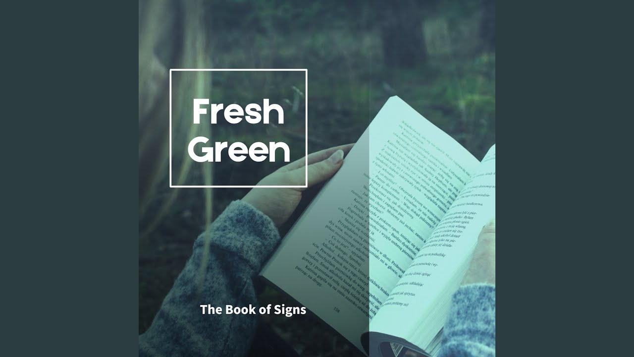 Write my Novel - YouTube