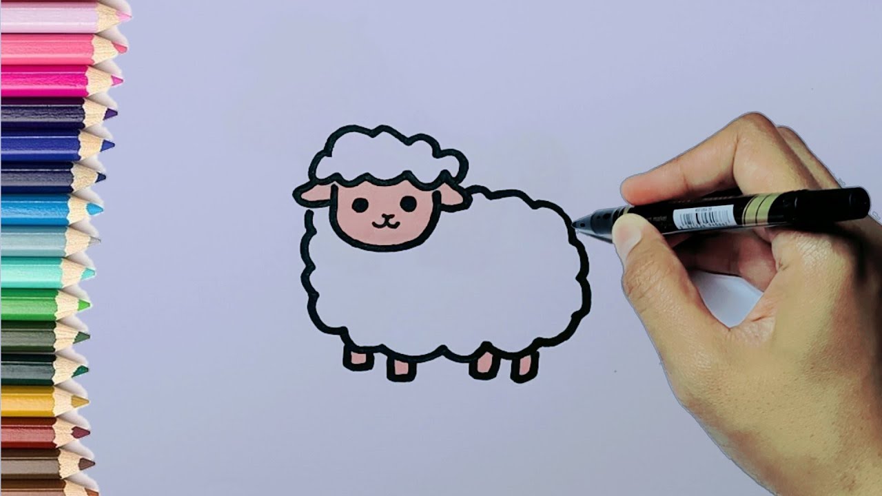 Drawing a cute Sheep || Easy drawing tutorial - YouTube