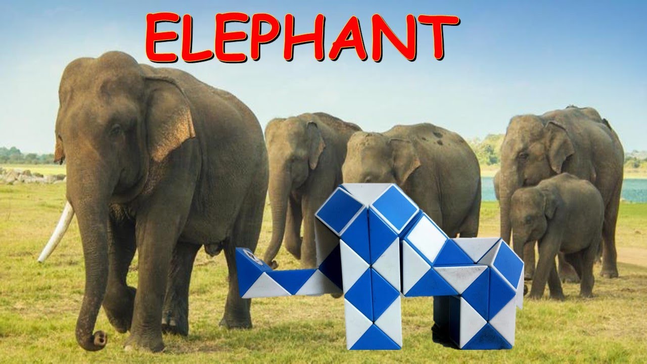ELEPHANT WITH SNAKE CUBE /5PLUS1 MUSKETEERS/Rubik's Twist elephant ...