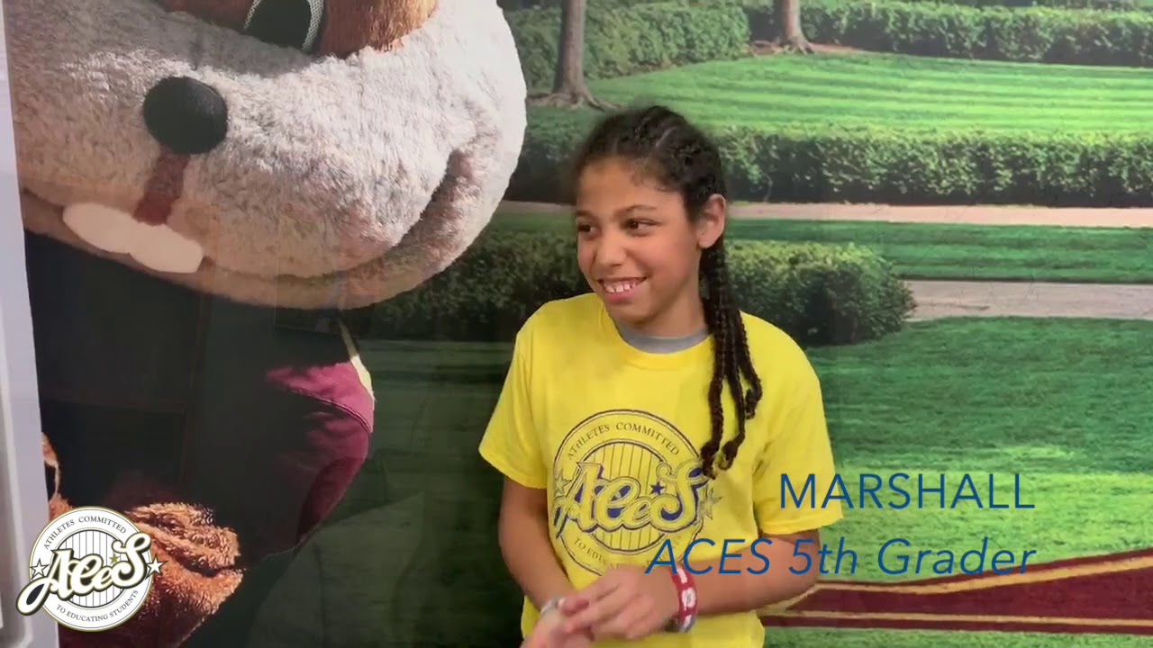 ACES Math Mindsets - YouTube