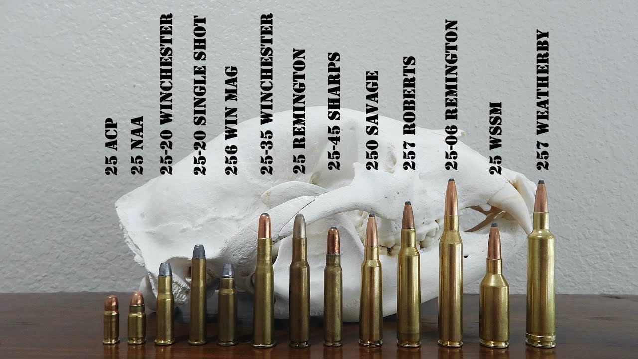 Complete Guide to 25 Caliber Cartridges | 25 ACP, 25-06, 257 Weatherby ...