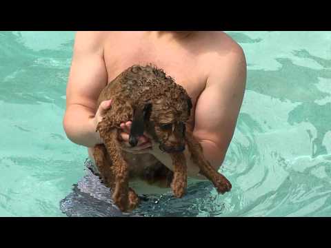 Penny Fake Swimming