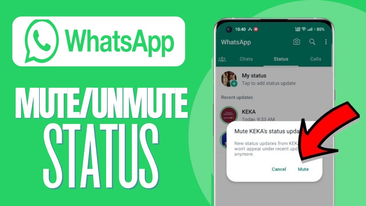 How to Mute or Unmute Anyone's Status Updates on WhatsApp - YouTube