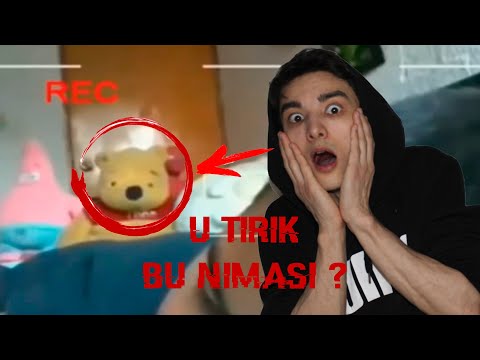Камера ТАСВИРГА тушиб колган уйичоклар.Улар тирик экан