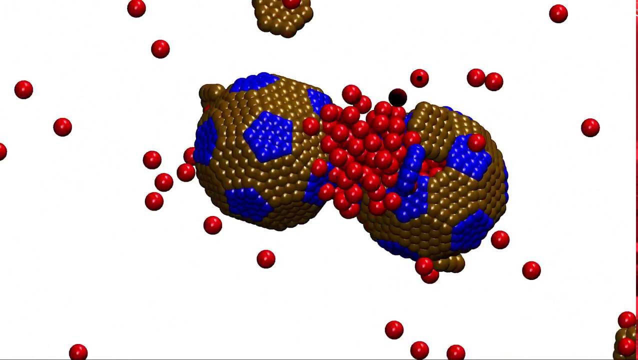 Multistep assembly of a microcompartment encapsulating hundreds of ...
