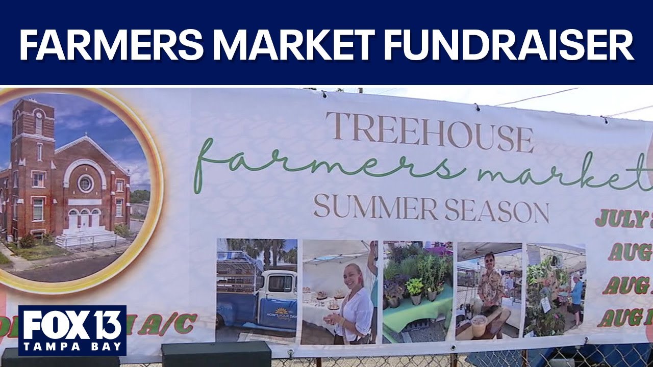 Treehouse Sanctuary reopens in St. Pete - YouTube