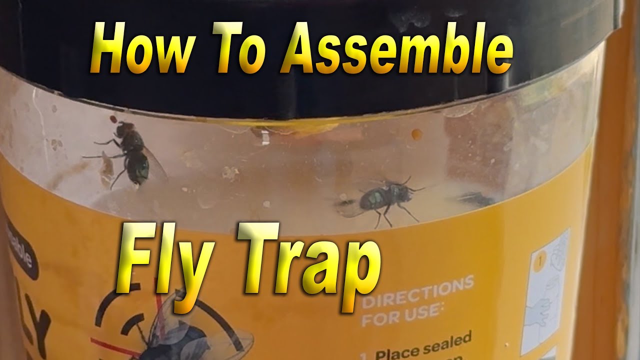 How To assemble Safe Fly Trap - YouTube