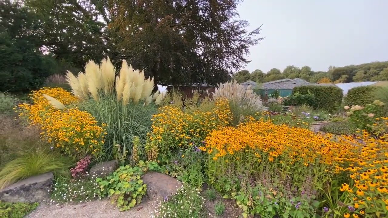 Rundgang durch die Gärtnerei Stauden Stade - YouTube