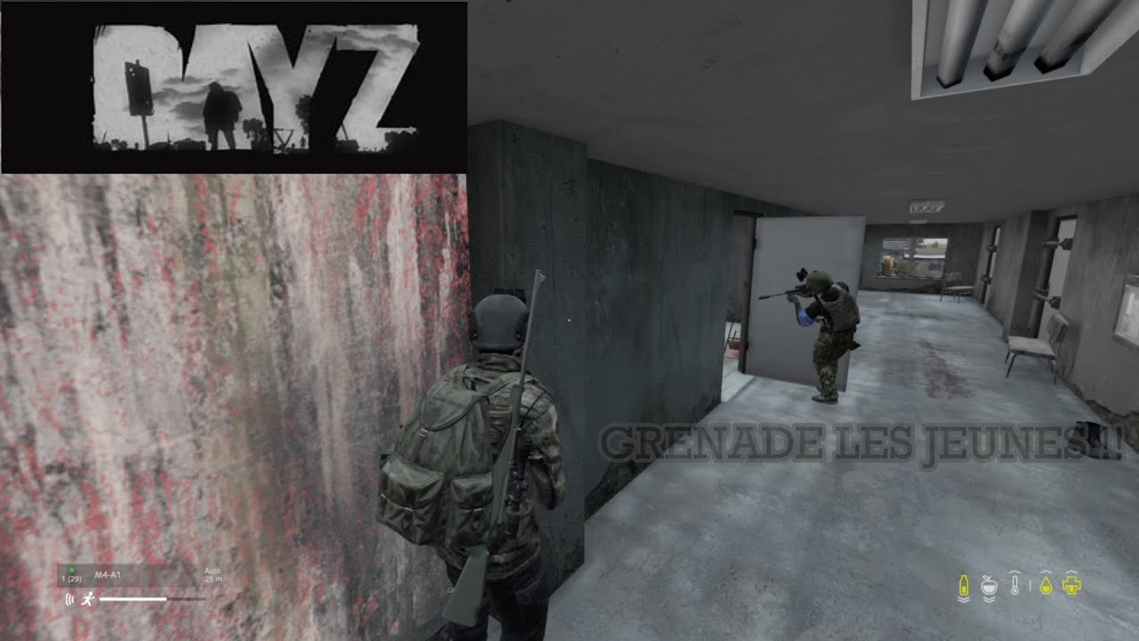 DAYZ #11 XTREM CARNAGE - Un Tout Autre Monde - YouTube
