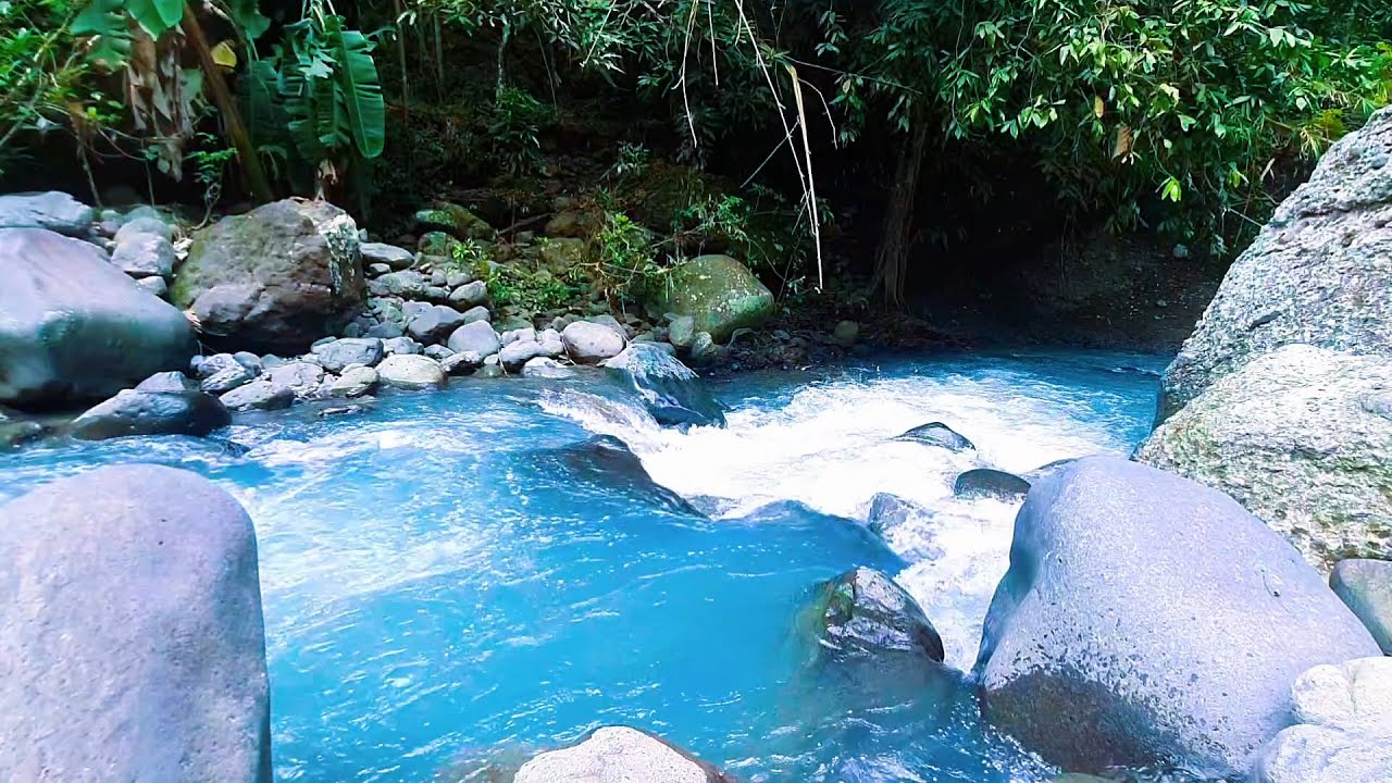Calm Flowing Stream | Soothing Nature Ambience for Meditation and Deep ...