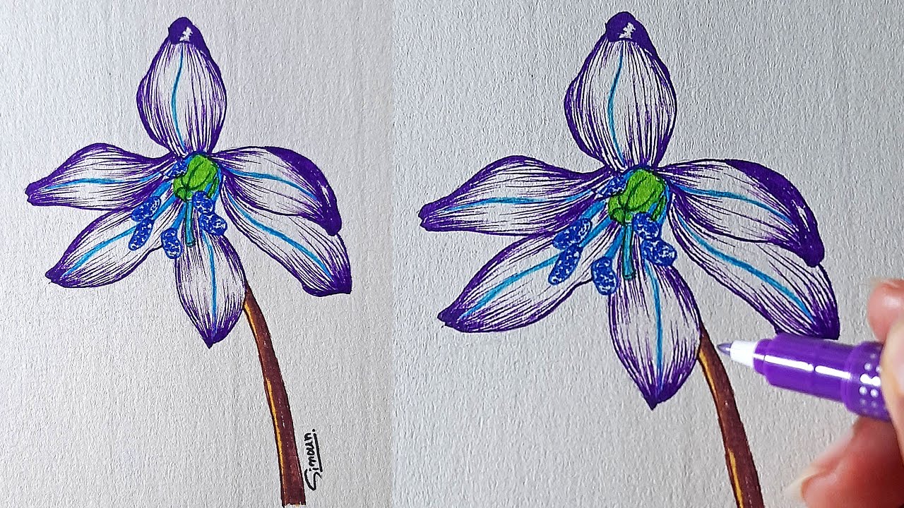 How to draw Scilla Siberica Flowers with Colors | Sinoun Drawing - YouTube