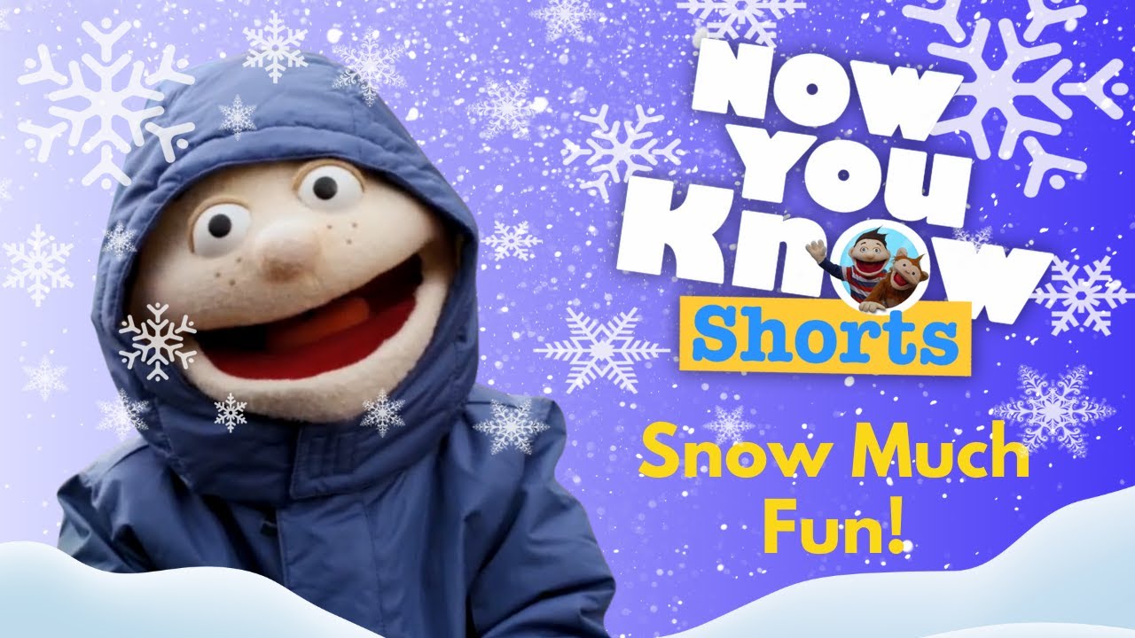 Snow Much Fun ⛄️ ️ | Now You Know | Learning for Kids 🧑🏻🐵 - YouTube
