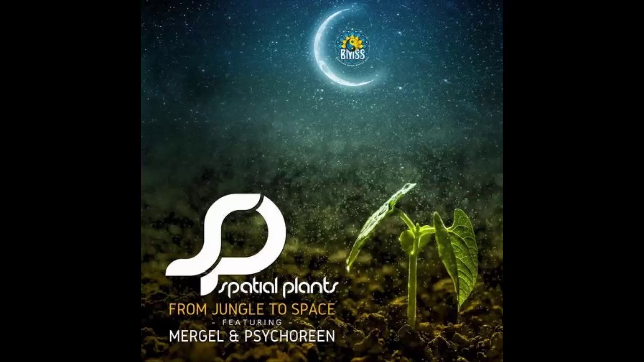 SPATIAL PLANTS - From Jungle to Space (Original Mix) - YouTube
