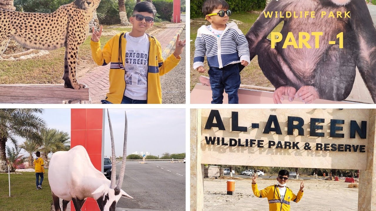 Al- Areen Wildlife Park Bahrain PART-1. - YouTube