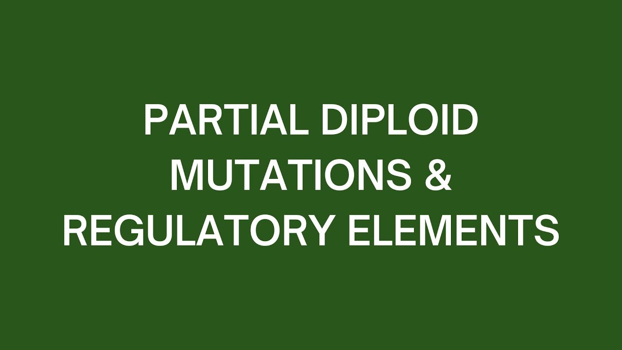 Partial Diploid Mutations Regulatory Elements YouTube