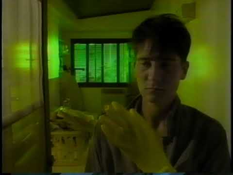 1990 Red Hot + Blue 10 K D Lang - Cole Porter - So in love