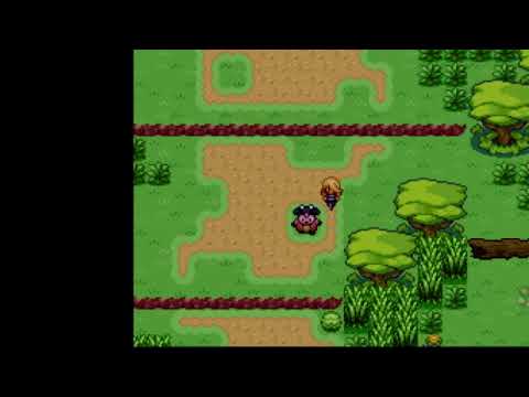 Pokemon Reborn E18 Speedrun Route 1 Items part 2 - YouTube