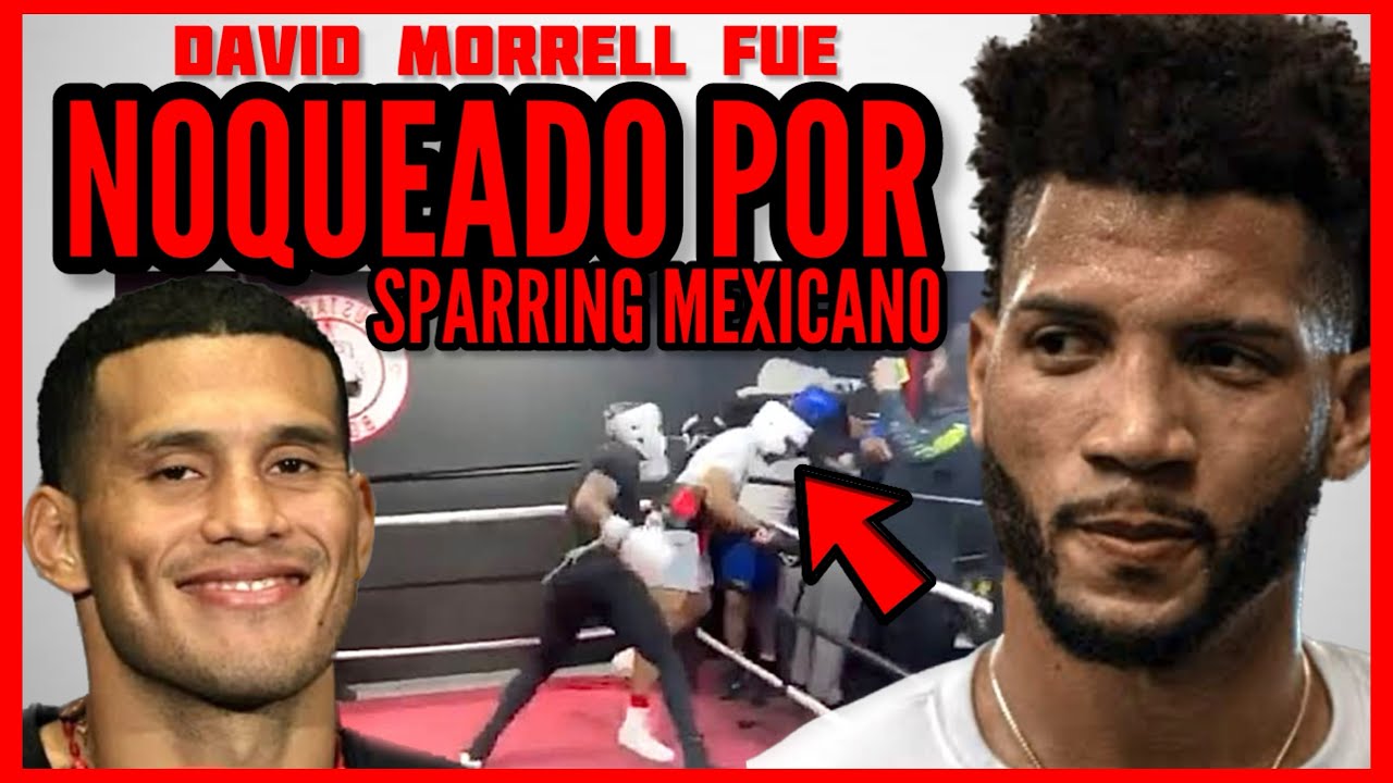 ¡ACABA DE PASAR! David Morrell FUE NOQUEADO por UN BOXEADOR MEXICANO ...